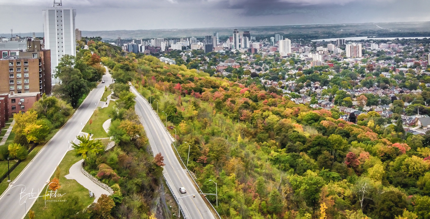 When you’re cruising around Hamilton, do you ever wonder about the ...