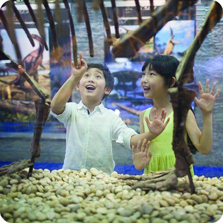 Museums | Cultural Centres - Hamilton City Magazine