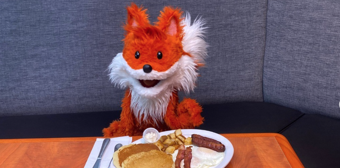 ‘Scout’-ing out Hamilton - Hamilton City Magazine