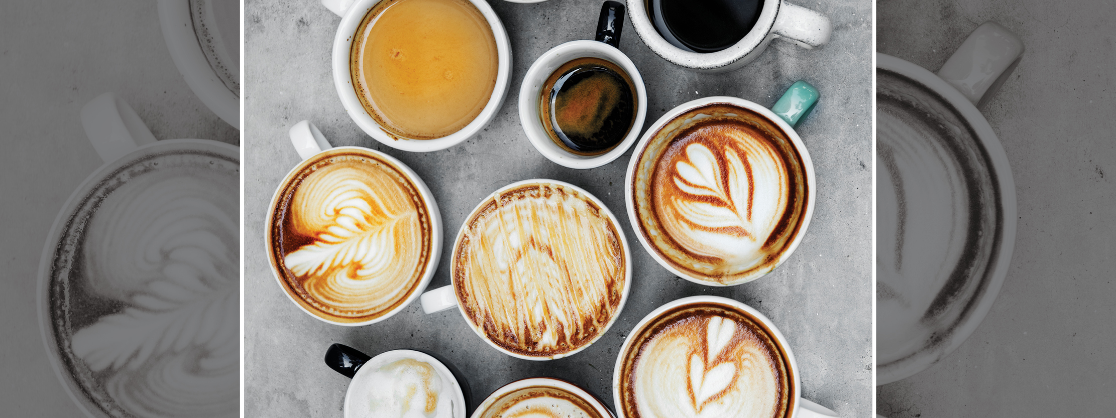 Brewing up the daily grind - Hamilton City Magazine