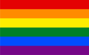 2SLGBTQ+ community flags and what they stand for - Hamilton City Magazine