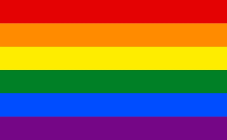 2SLGBTQ+ community flags and what they stand for - Hamilton City Magazine