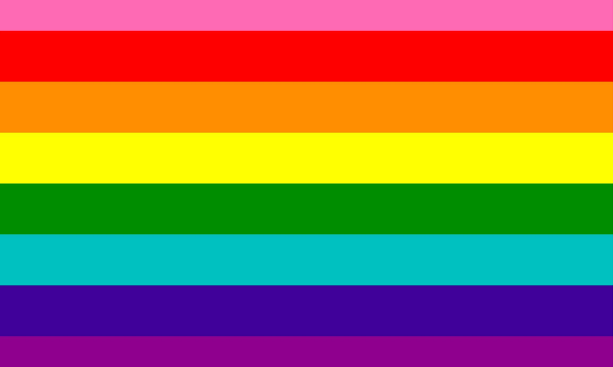 2SLGBTQ+ community flags and what they stand for - Hamilton City Magazine