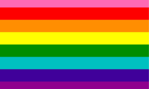2SLGBTQ+ community flags and what they stand for - Hamilton City Magazine