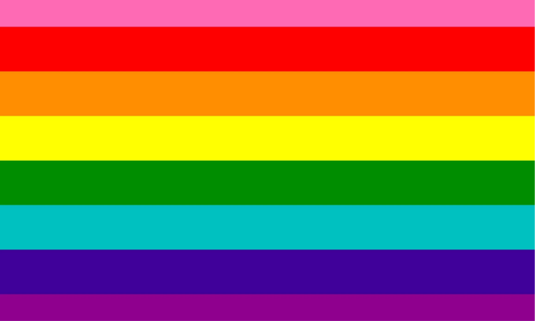 2SLGBTQ+ community flags and what they stand for - Hamilton City Magazine