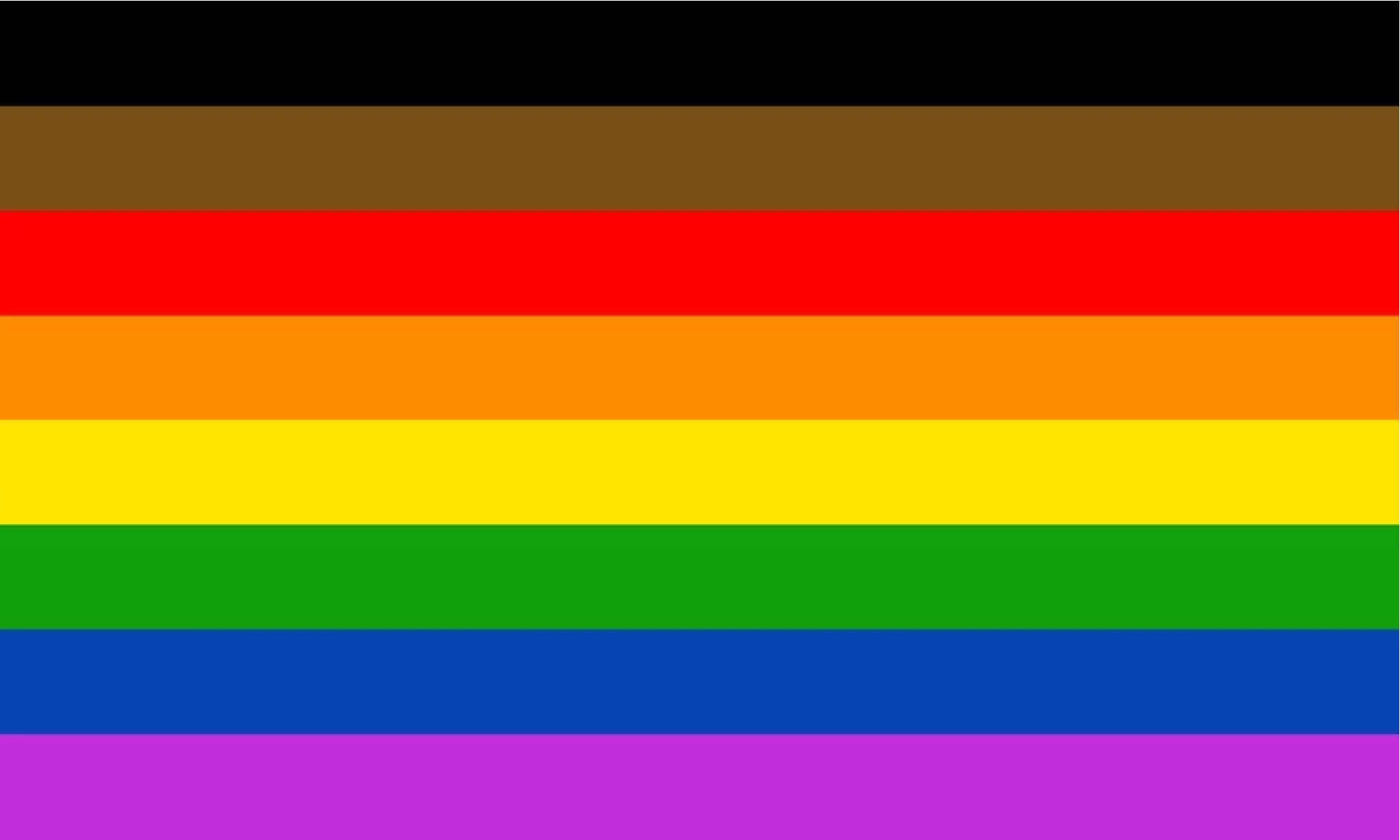 2SLGBTQ+ community flags and what they stand for - Hamilton City Magazine