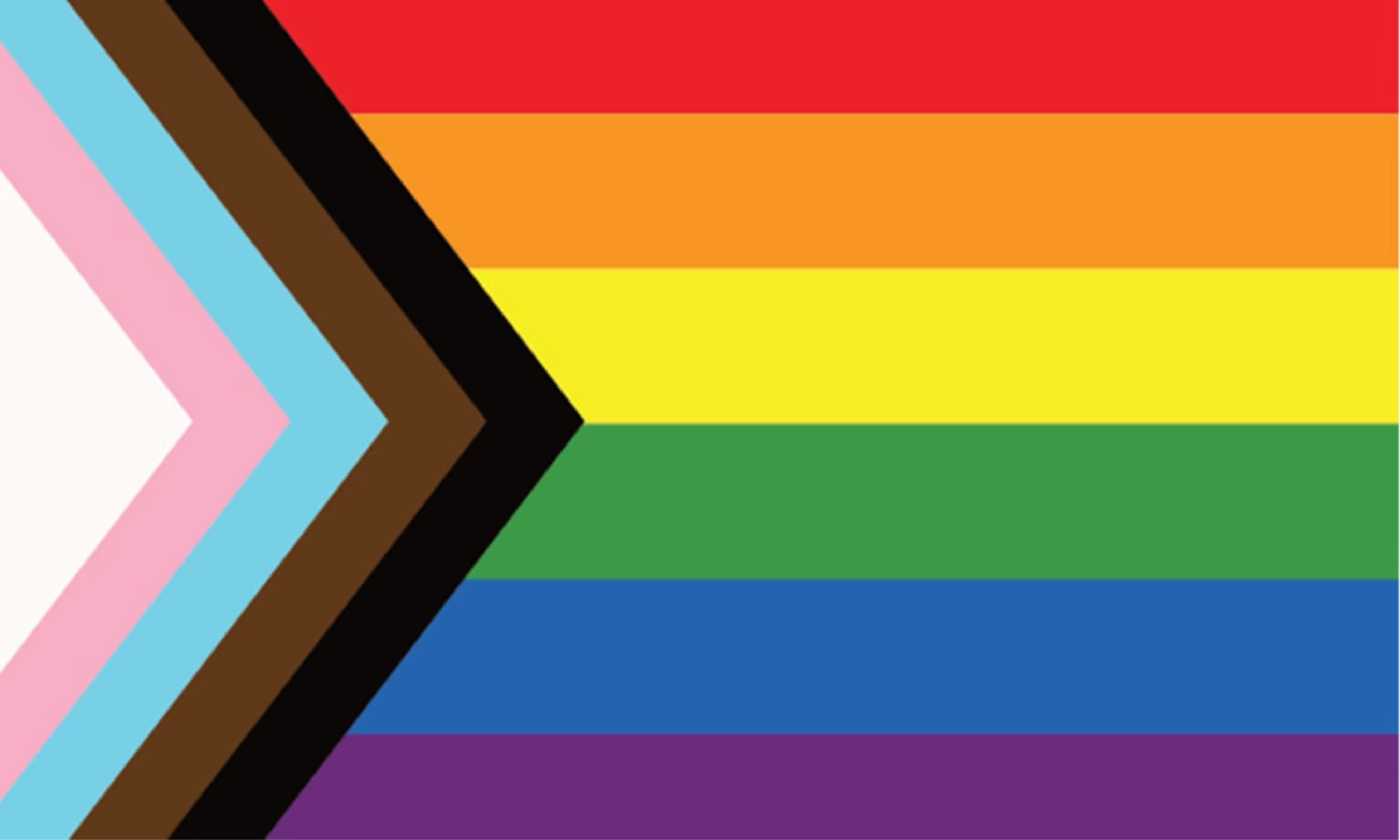 2SLGBTQ+ community flags and what they stand for - Hamilton City Magazine