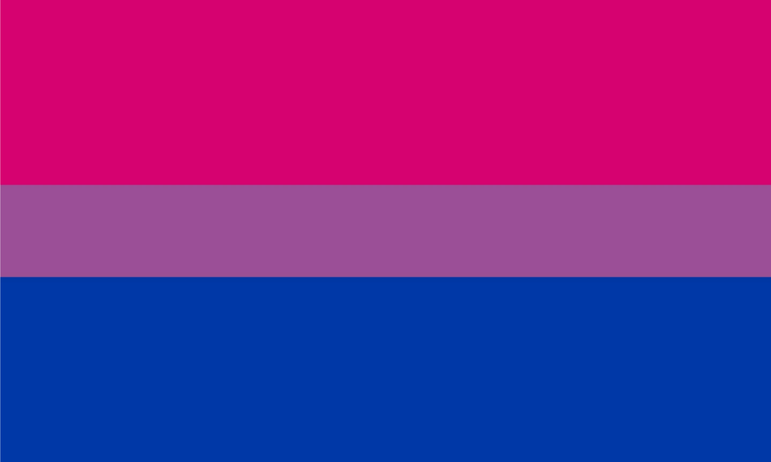 2SLGBTQ+ community flags and what they stand for - Hamilton City Magazine