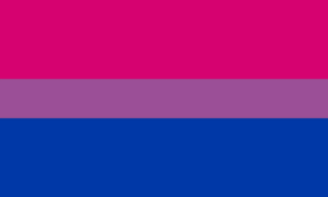 2SLGBTQ+ community flags and what they stand for - Hamilton City Magazine