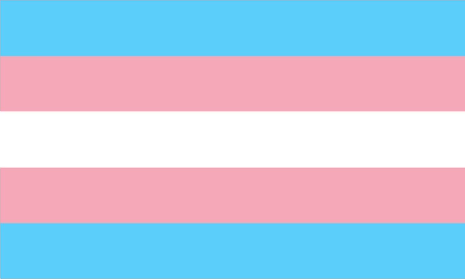 2SLGBTQ+ community flags and what they stand for - Hamilton City Magazine