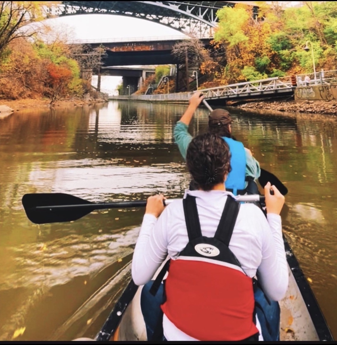 Paddling in Hamilton: Late summer and fall are great times to get out ...
