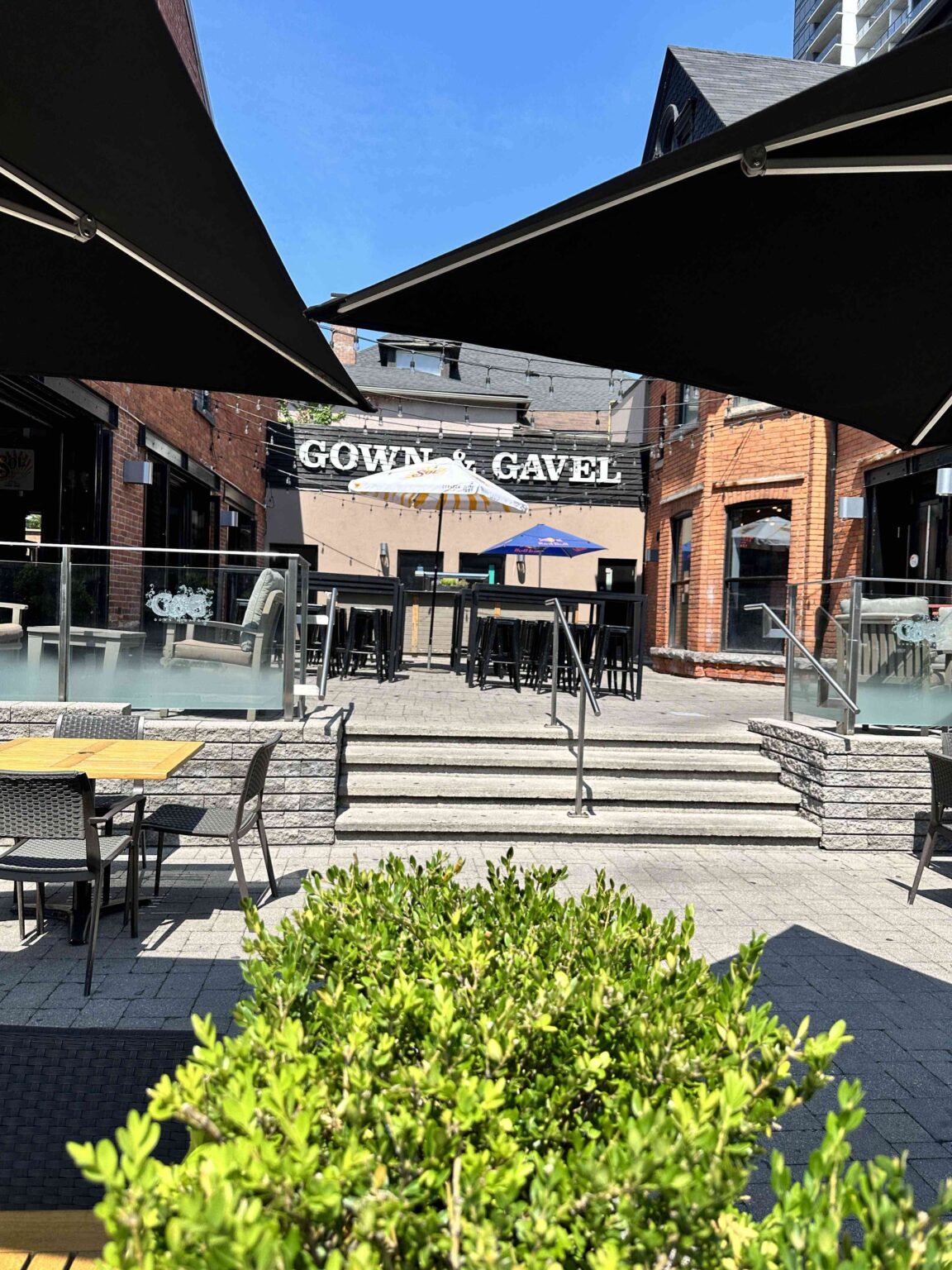 Hess Village: The veterans and the newcomers - Hamilton City Magazine