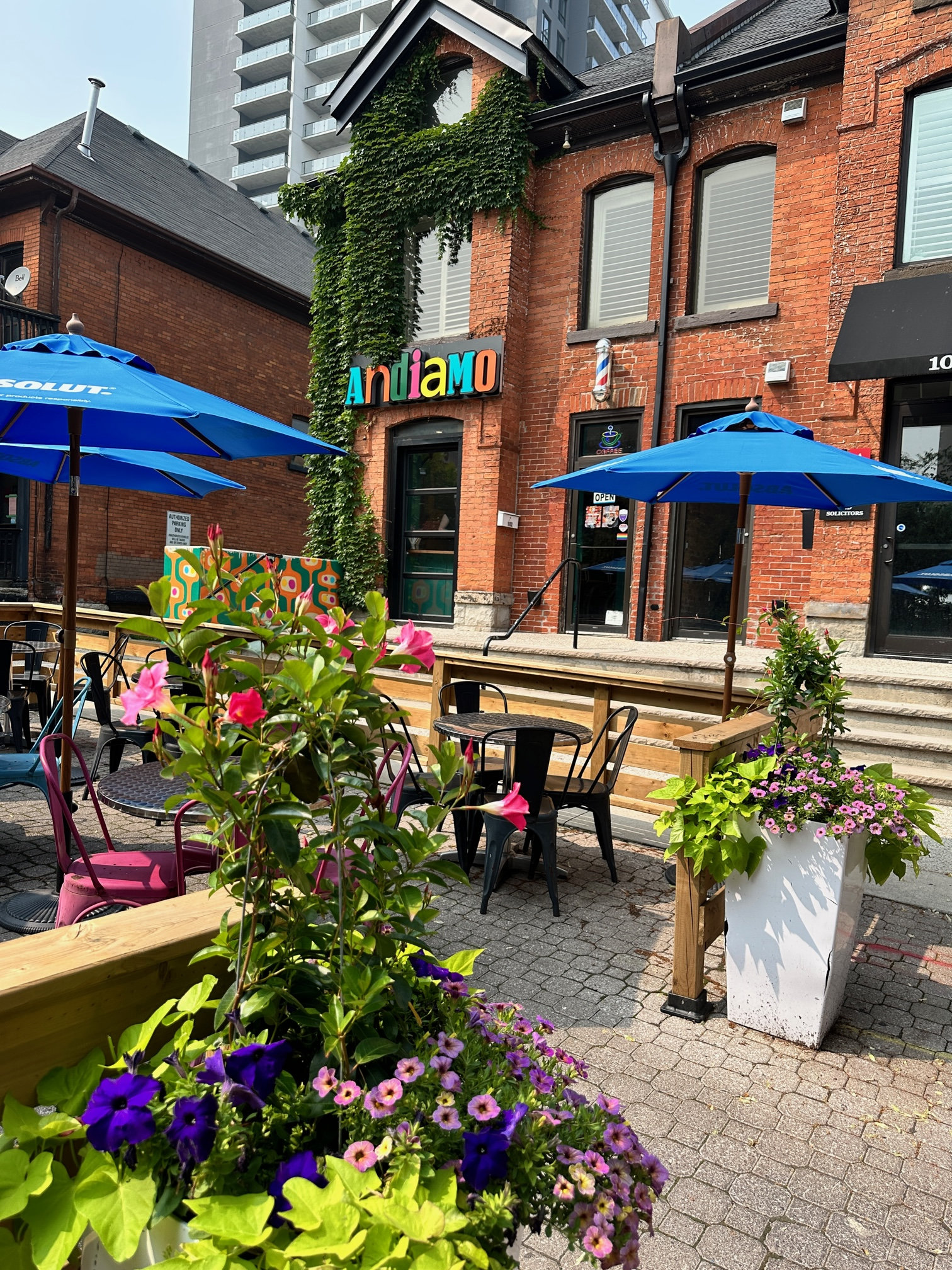 Hess Village: The veterans and the newcomers - Hamilton City Magazine