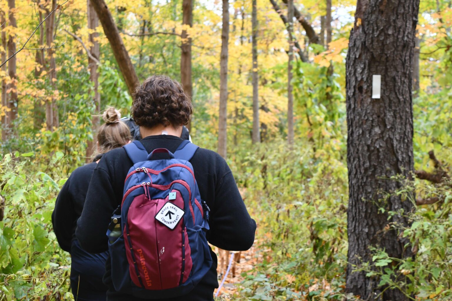 Blessed by the Bruce Trail - Hamilton City Magazine