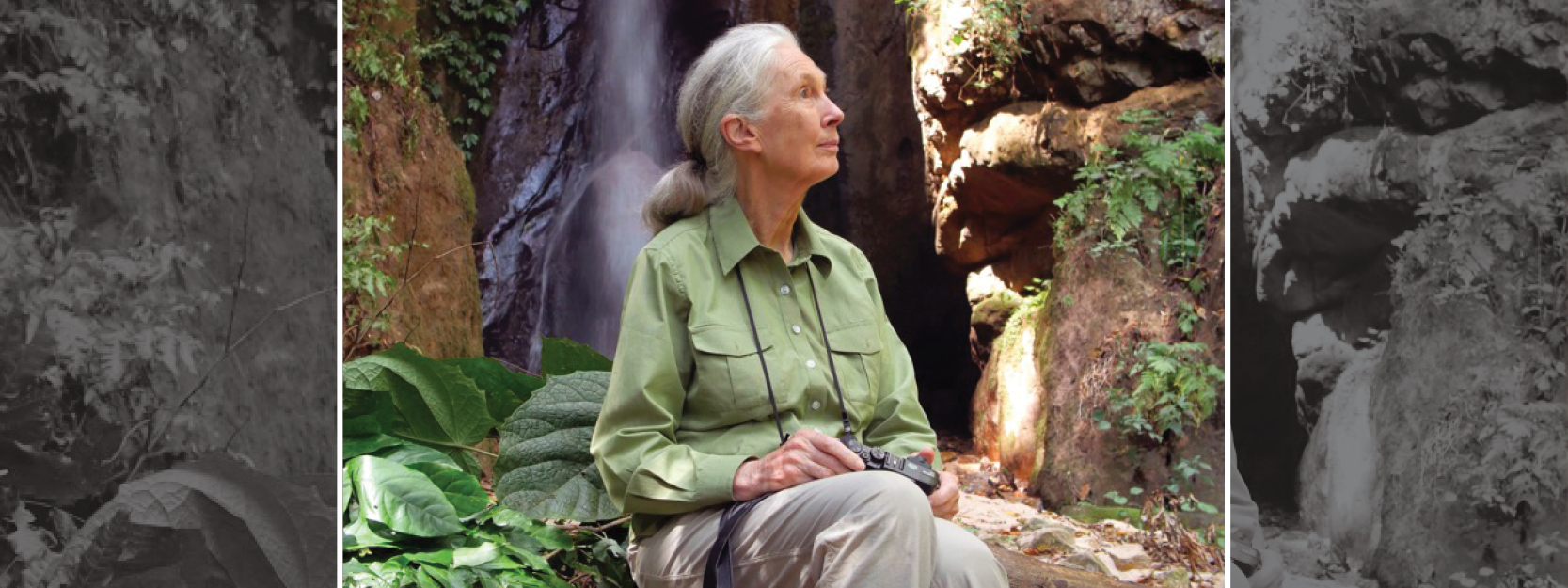 Jane Goodall: Do we have the will to save the world? - Hamilton City ...