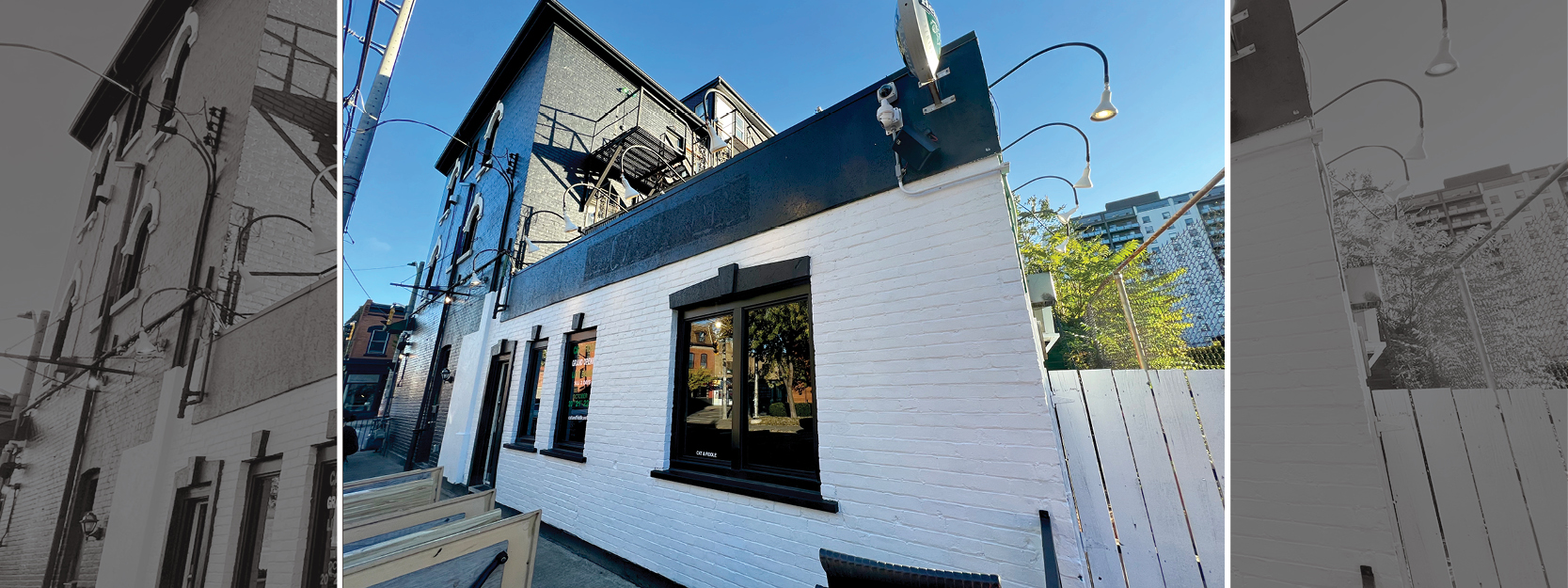 The Cat is back - Hamilton City Magazine