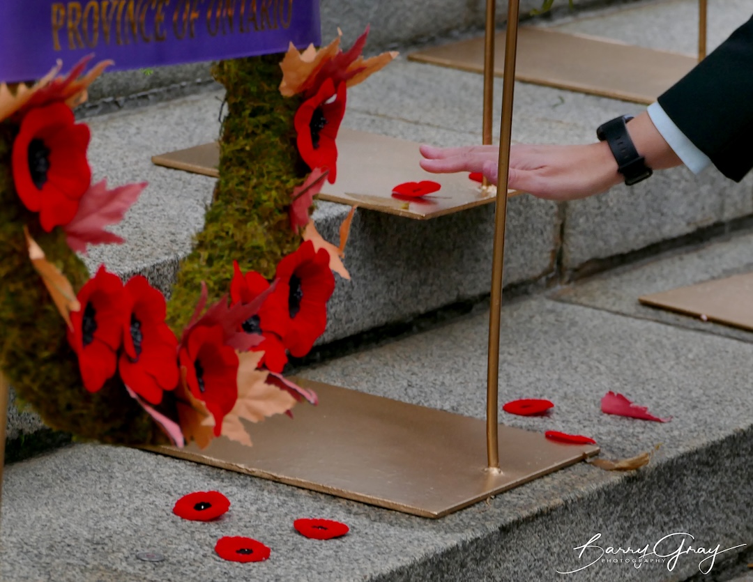Remembrance Day: Scenes from the Cenotaph - Hamilton City Magazine