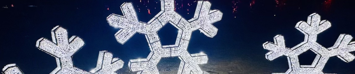 Gallery: Winter Wonders at the RBG - Hamilton City Magazine
