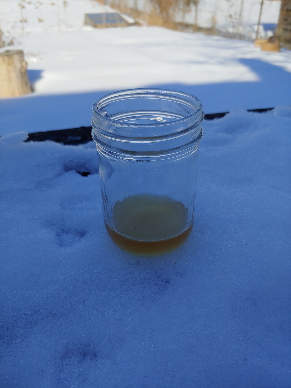 Maple syrup is a tasty rite of spring - Hamilton City Magazine