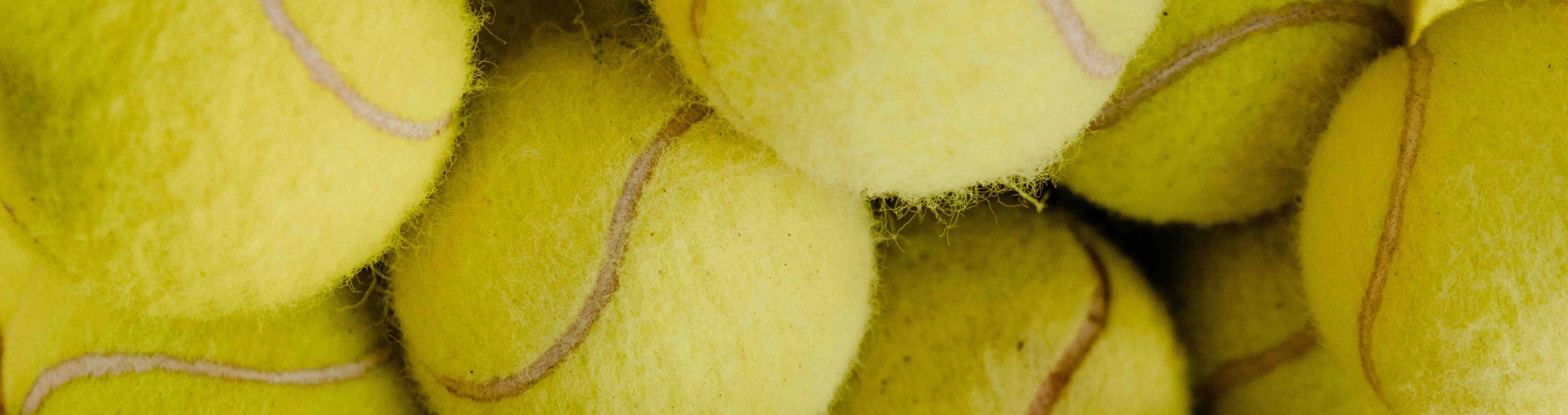 Love means nothing in tennis, but at Rosedale it’s everything ...