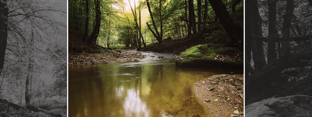 Rethinking Chedoke Creek - Hamilton City Magazine