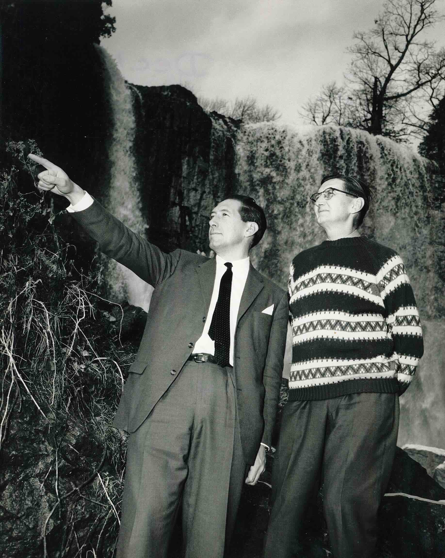 BRUCE TRAIL: A walk in the wilderness - Hamilton City Magazine