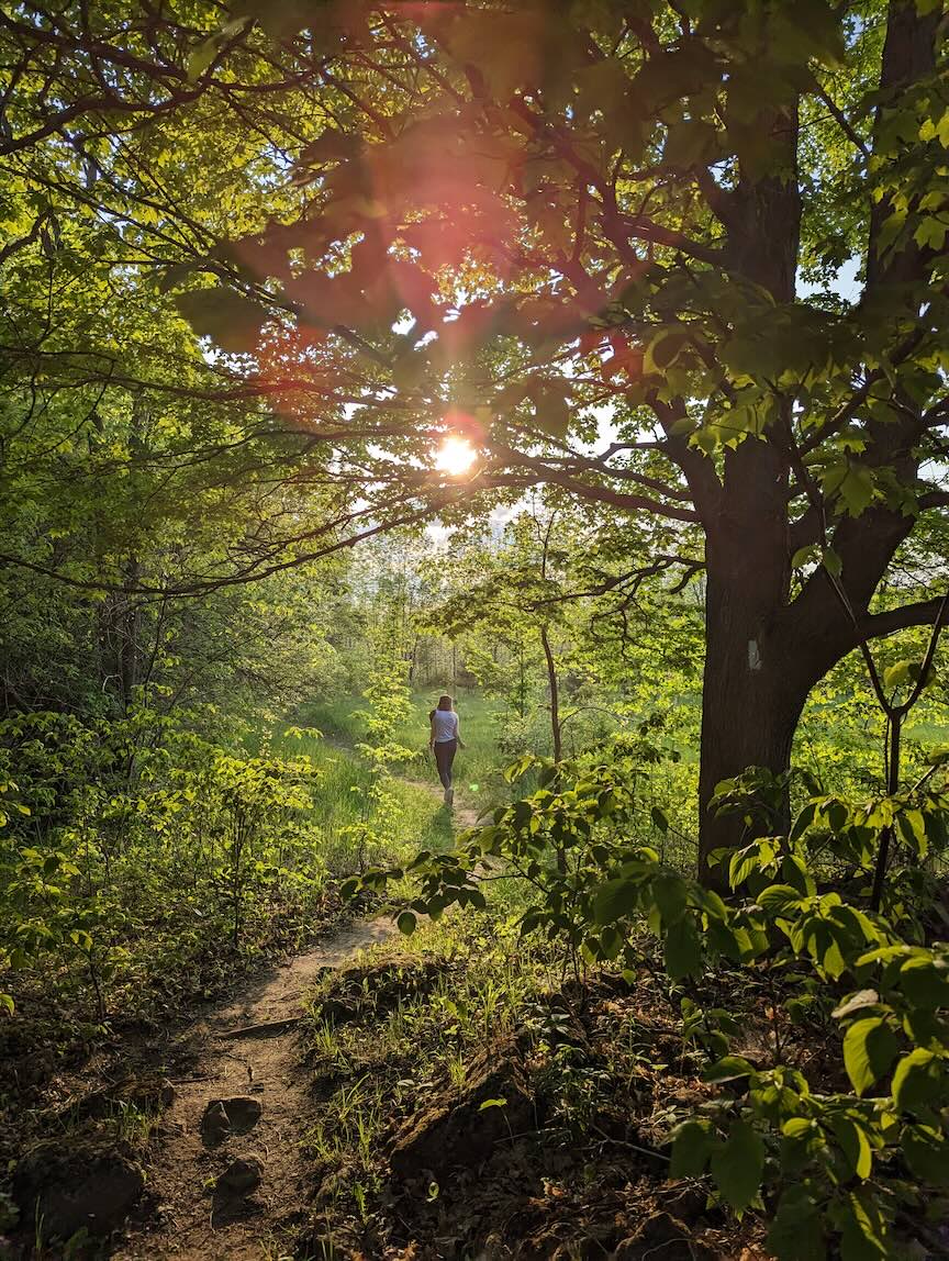 BRUCE TRAIL: A walk in the wilderness - Hamilton City Magazine