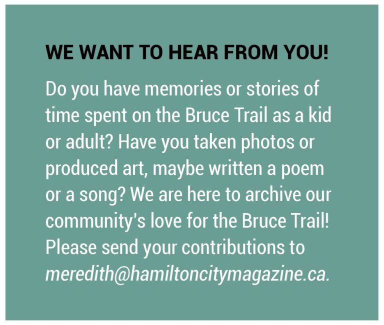 BRUCE TRAIL: A walk in the wilderness - Hamilton City Magazine